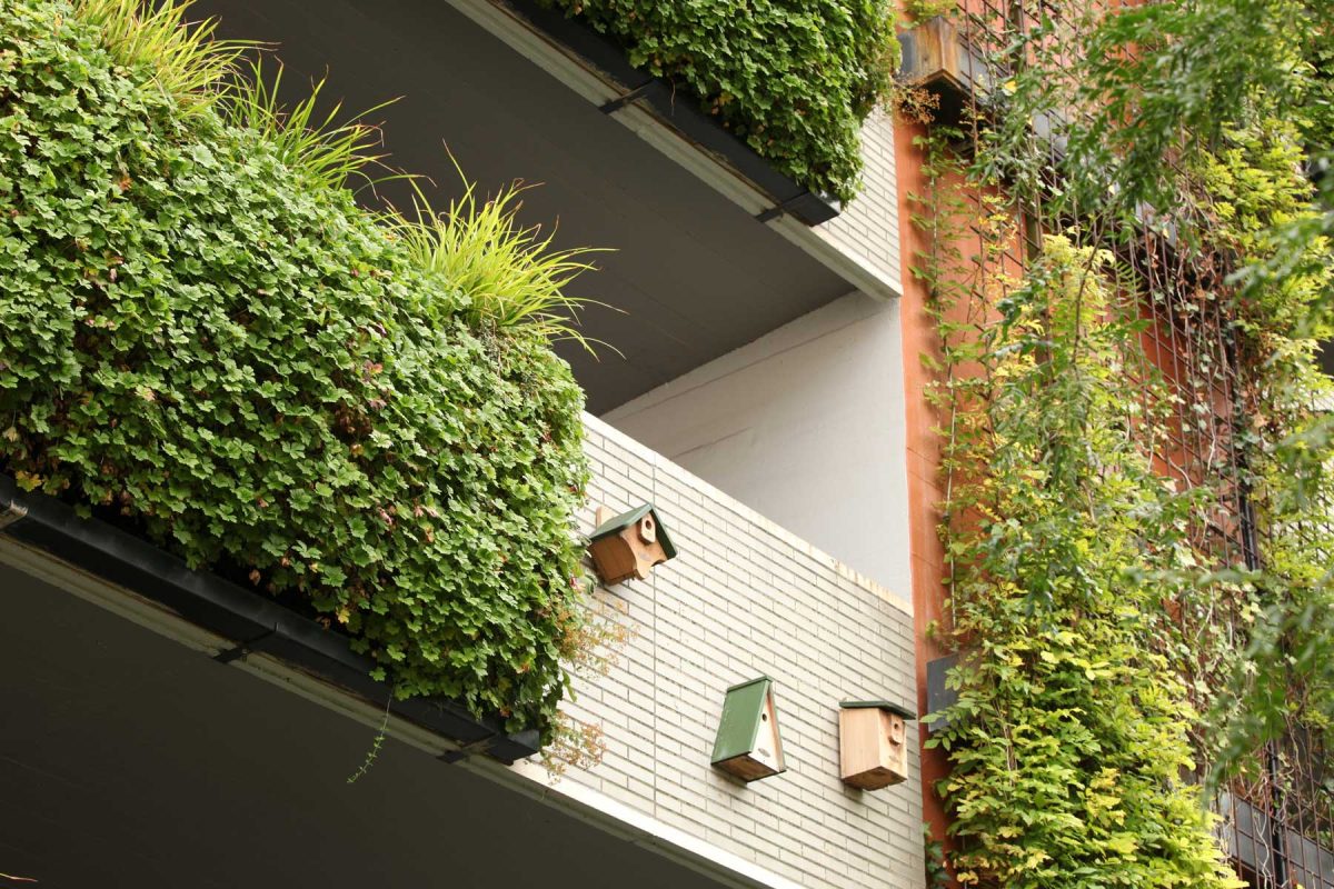 Unieke en duurzame uitstraling met groene gevels | Weverling